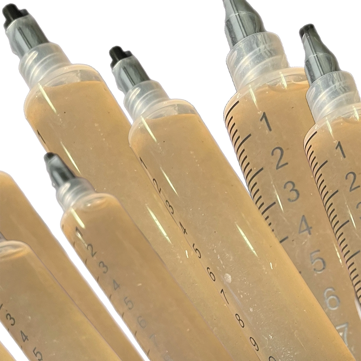 10 Syringe Gourmet Liquid Culture Bundle | Inoculate the World